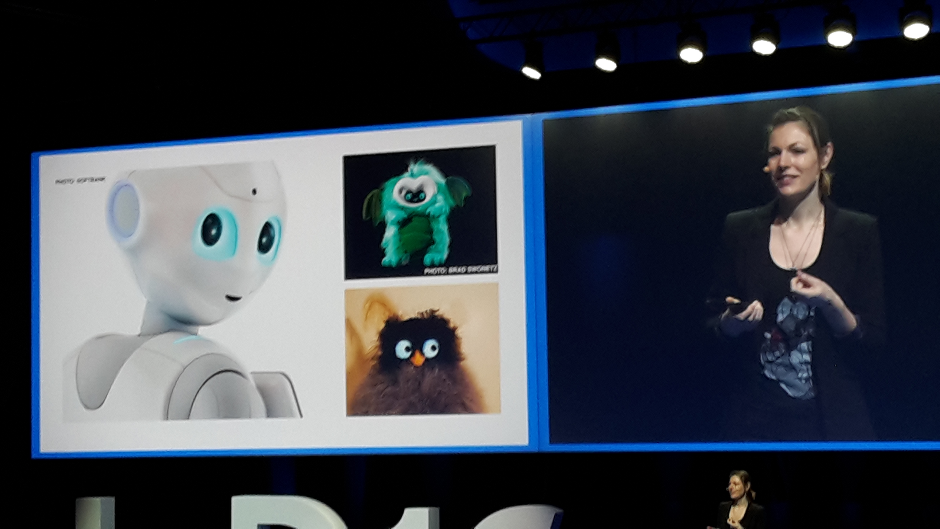 Robot Ethics, Emphatic AI and The Importance of Multiple Perspectives